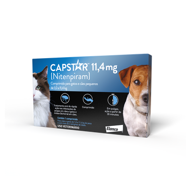Capstar™ para gatos e cães – elimine pulgas em 30 minutos